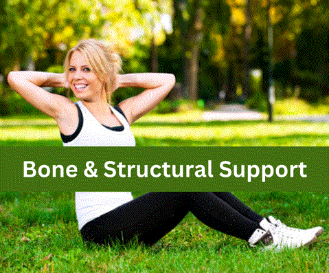 Bone & Structural Support Supplements Collection Online – MC Herbs